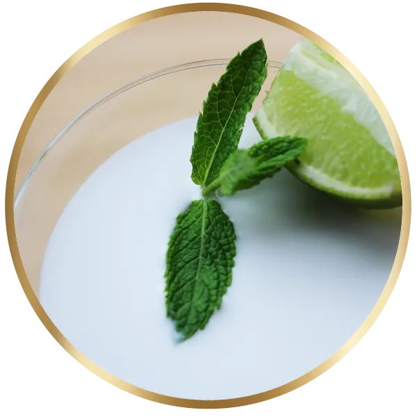 Cocktails – Myth Drinks